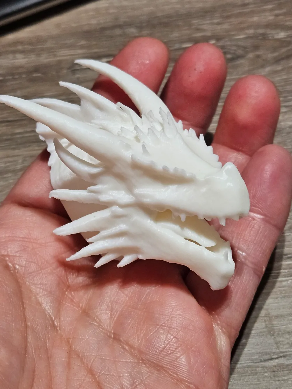 Dragon's Head by Bokkins' Workshop - MakerWorld