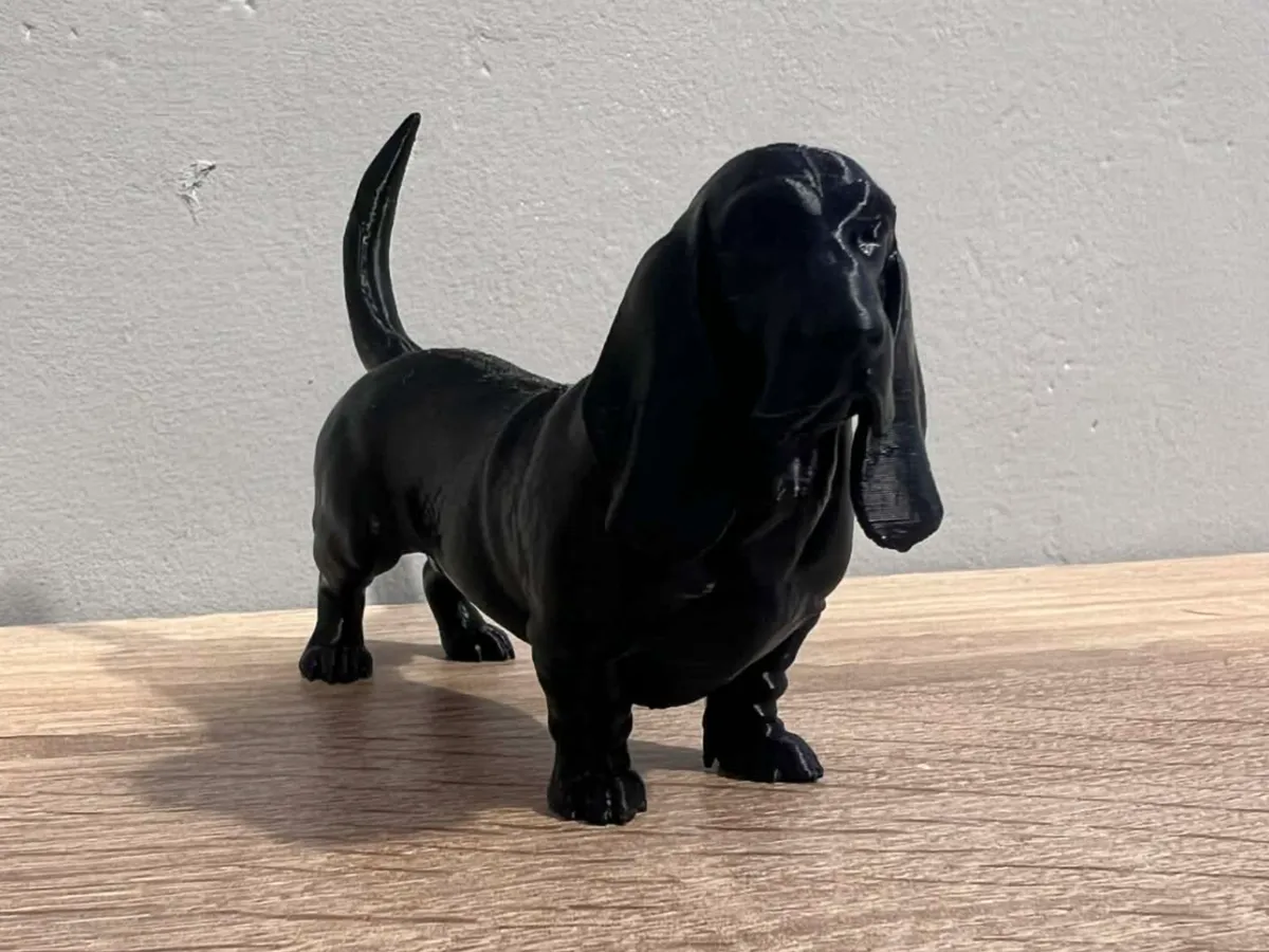 Basset Hound - Dog - Free 3D Print Model - MakerWorld