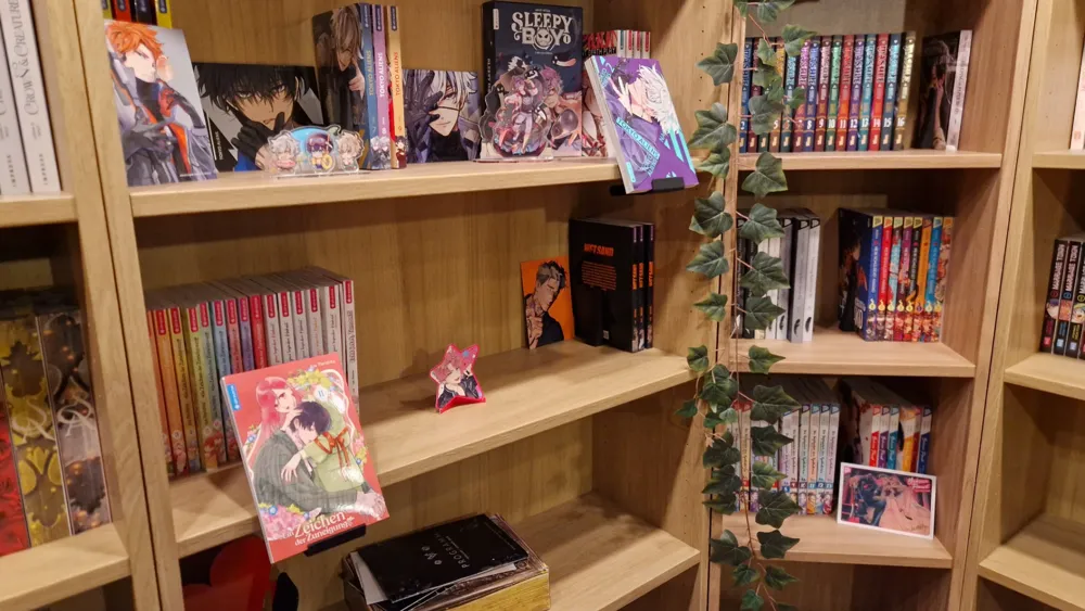 Manga Display - Shelf Extender [Remix EBERTH] Remixed by Marcy93 ...