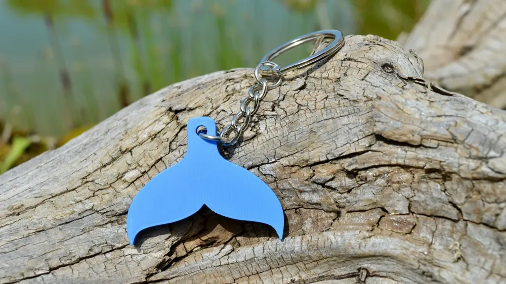 Whale Tail Keychain by Bleicher3D - MakerWorld