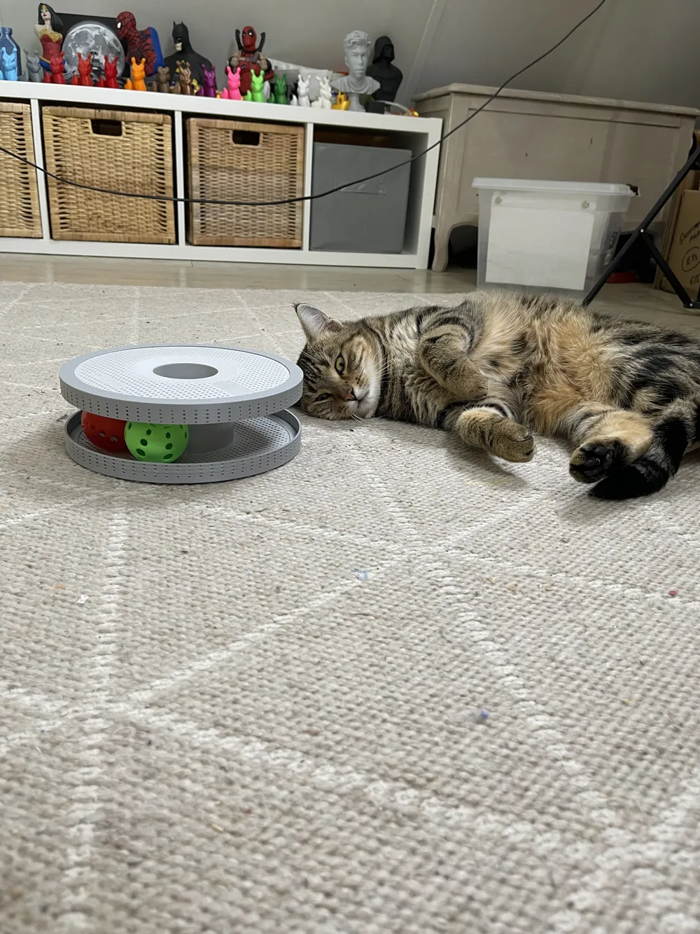 DIY Cat/Dog Spool Toy - Free 3D Print Model - MakerWorld