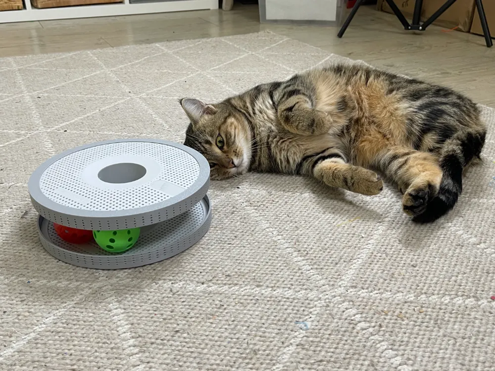DIY Cat/Dog Spool Toy - Free 3D Print Model - MakerWorld