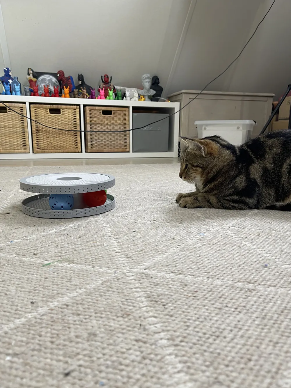 DIY Cat/Dog Spool Toy - Free 3D Print Model - MakerWorld