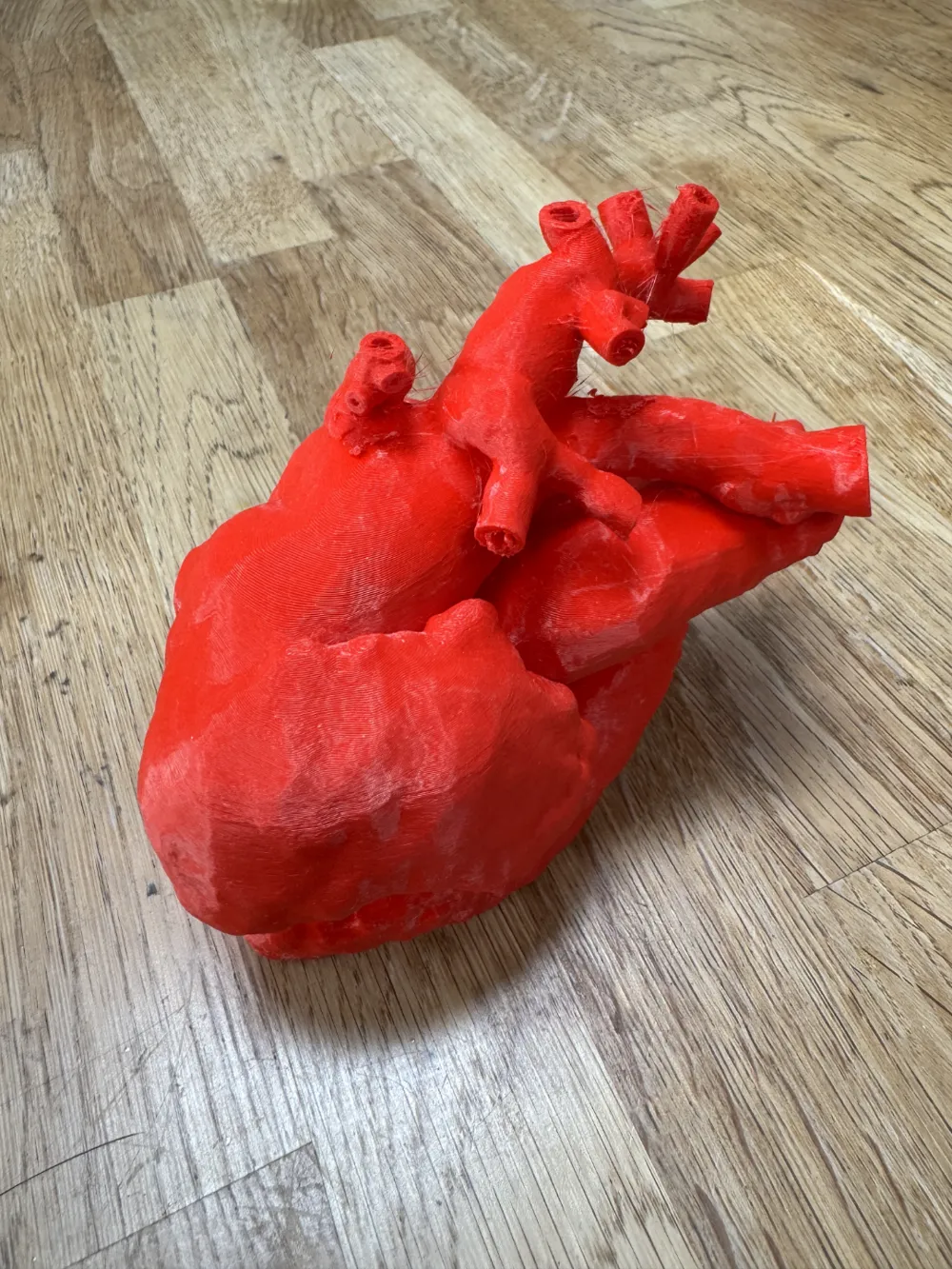 Anatomical Human Heart Model by Captain.Kadir - MakerWorld