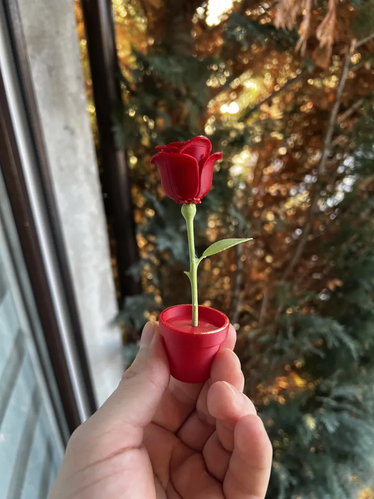 Valentine Rose - Cute Mini Rose 3D Print - Free 3D Print Model - MakerWorld