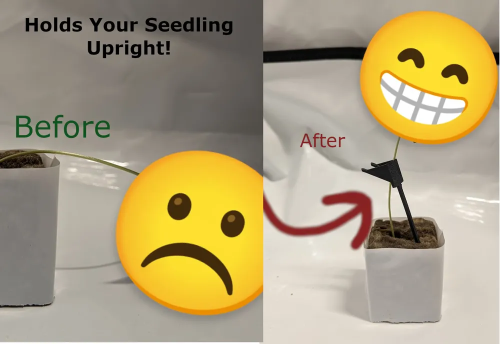 Plant Stabilizer (For Seedlings) by NuggetsInc - MakerWorld