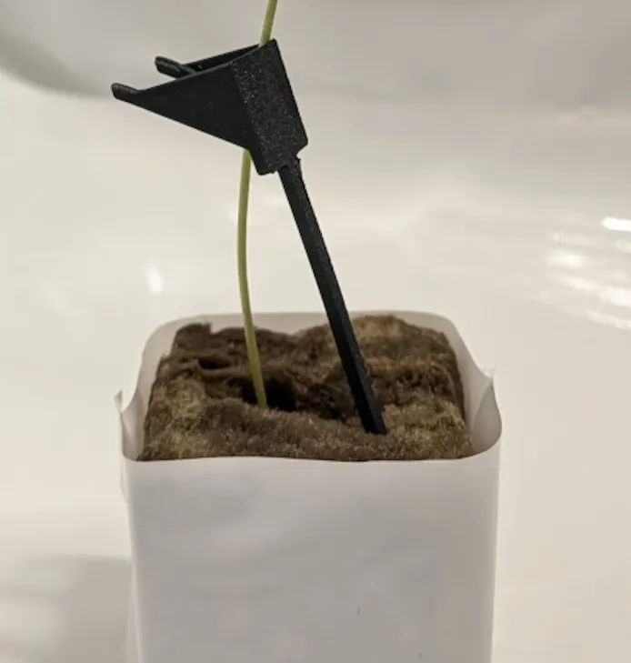 Plant Stabilizer (For Seedlings) by NuggetsInc - MakerWorld