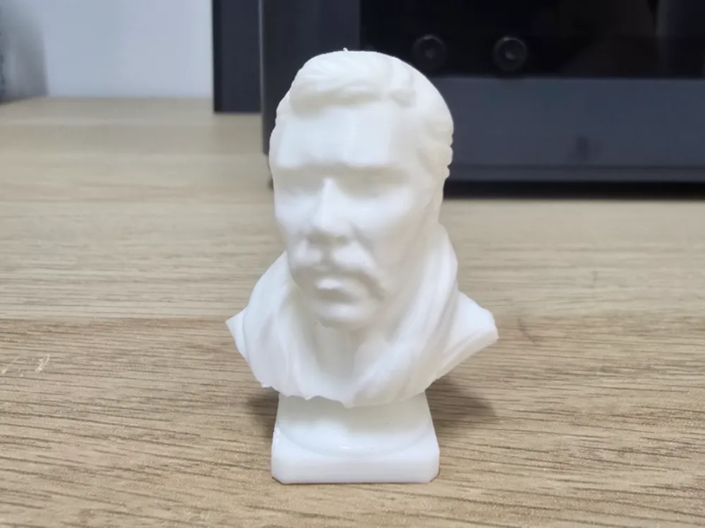 Succulent Chinese Meal - Democracy Manifest Bust - Free 3D Print Model ...