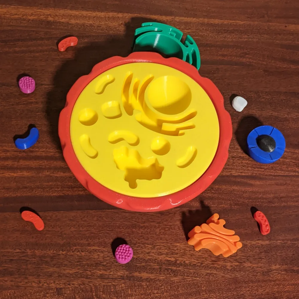 3d printed buildable cell model by Craft Corner - MakerWorld