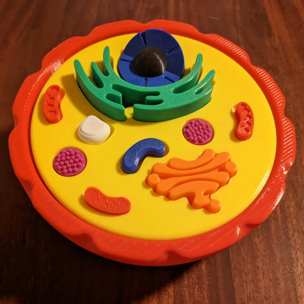 3d printed buildable cell model by Craft Corner - MakerWorld