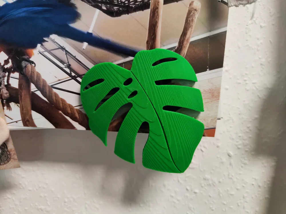 Monstera Leaf Magnet by Chipotle - MakerWorld
