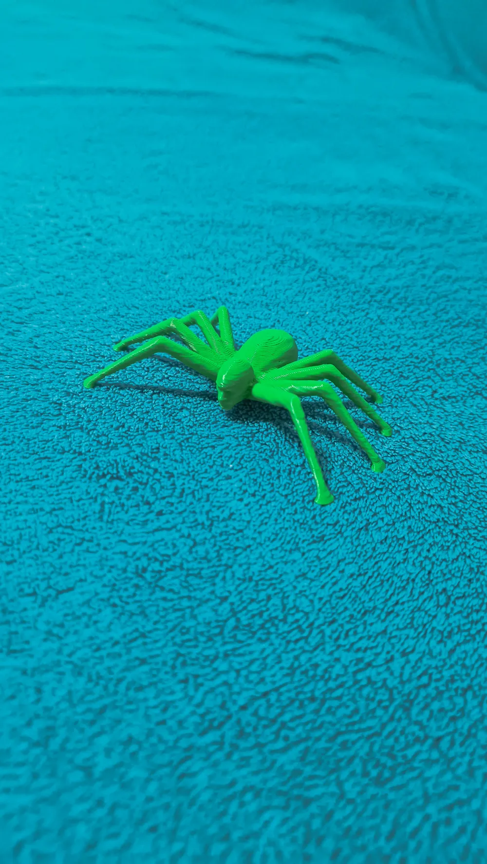 the rock spider - Free 3D Print Model - MakerWorld