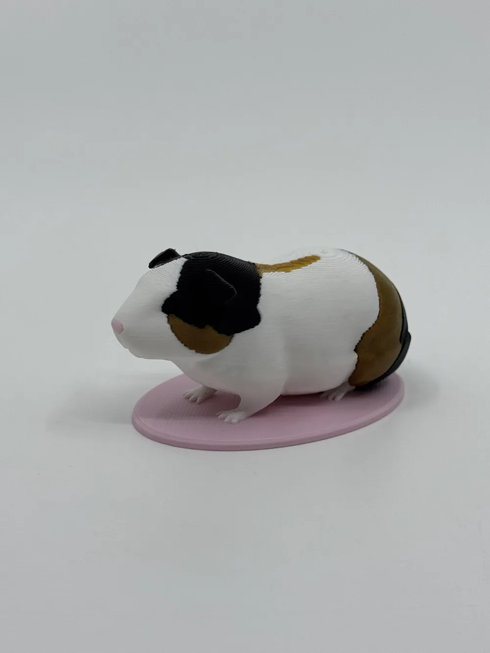 Guinea Pig - Free 3D Print Model - MakerWorld