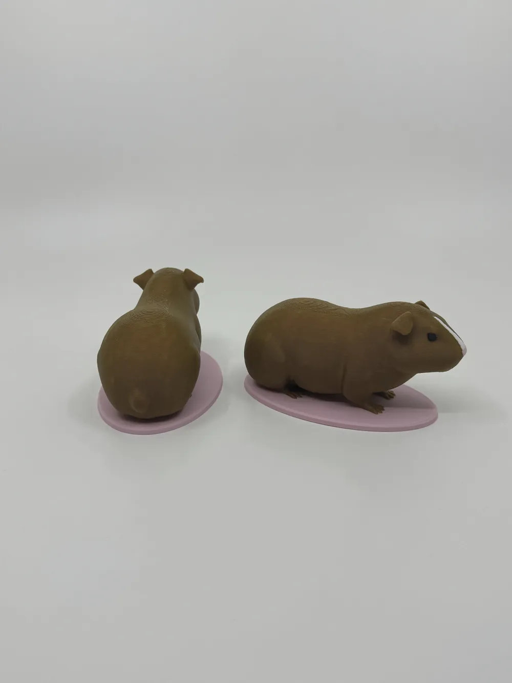 Guinea Pig - Free 3D Print Model - MakerWorld