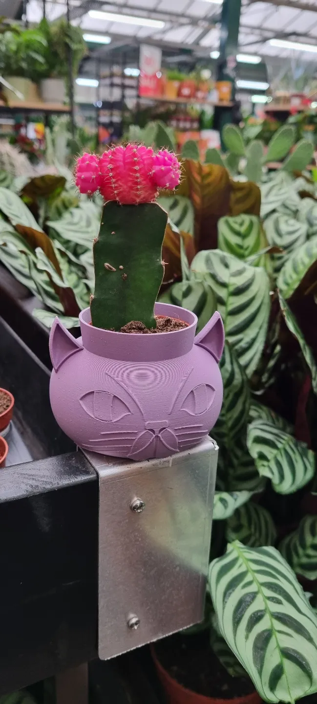 Cat shaped plant pot by MoniaMon - MakerWorld