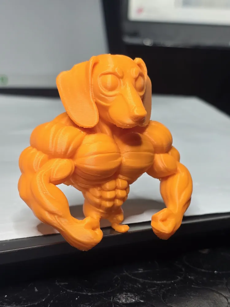 Bodybuilder Dachshund dog - Free 3D Print Model - MakerWorld