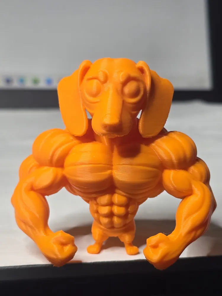 Bodybuilder Dachshund dog - Free 3D Print Model - MakerWorld