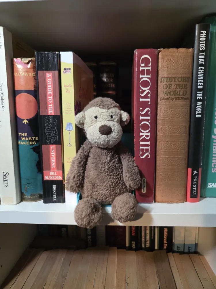 Jelly cat book nook seat cuddly - Free 3D Print Model - MakerWorld