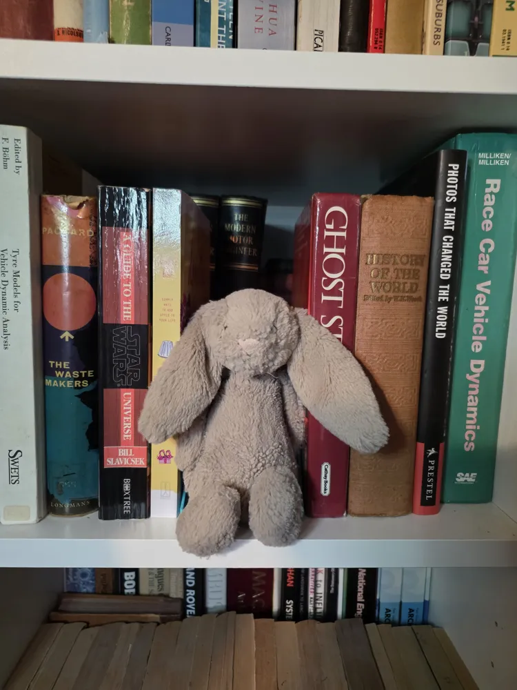 Jelly cat book nook seat cuddly - Free 3D Print Model - MakerWorld