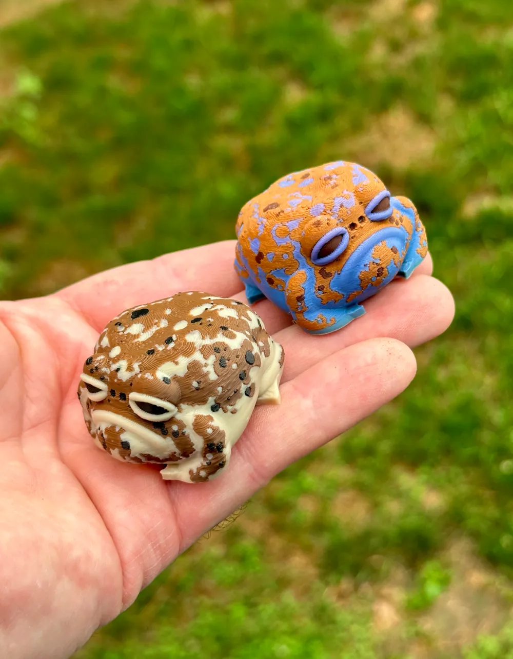 Garnet The Grouch Rain Frog Companion Magnet by Justin Koch MakerWorld ...