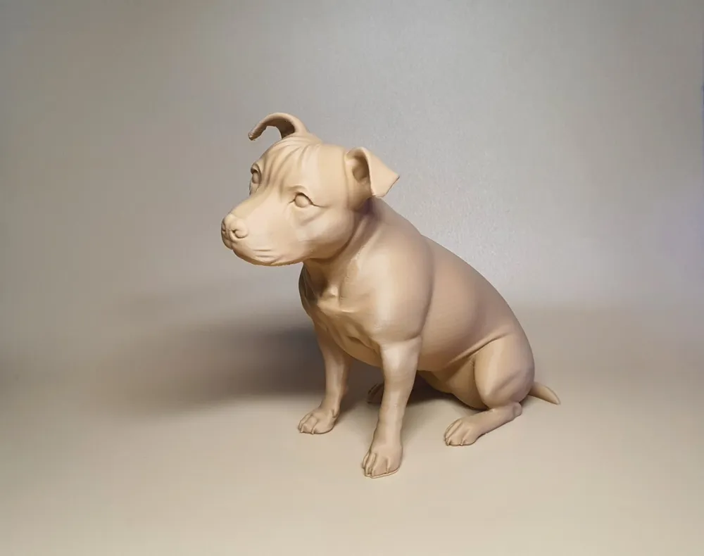 Staffordshire bull terrier *Sitting head tilted* by _JkJk_ MakerWorld ...