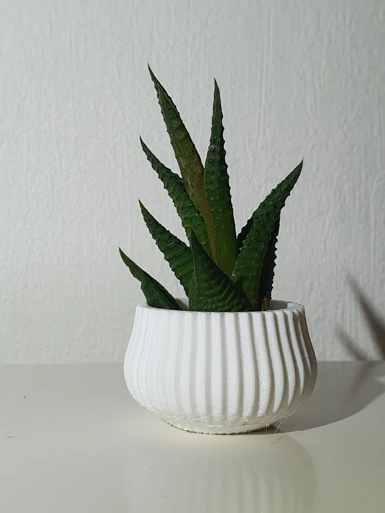 modern Plantpod "Milo" by Simon - MakerWorld