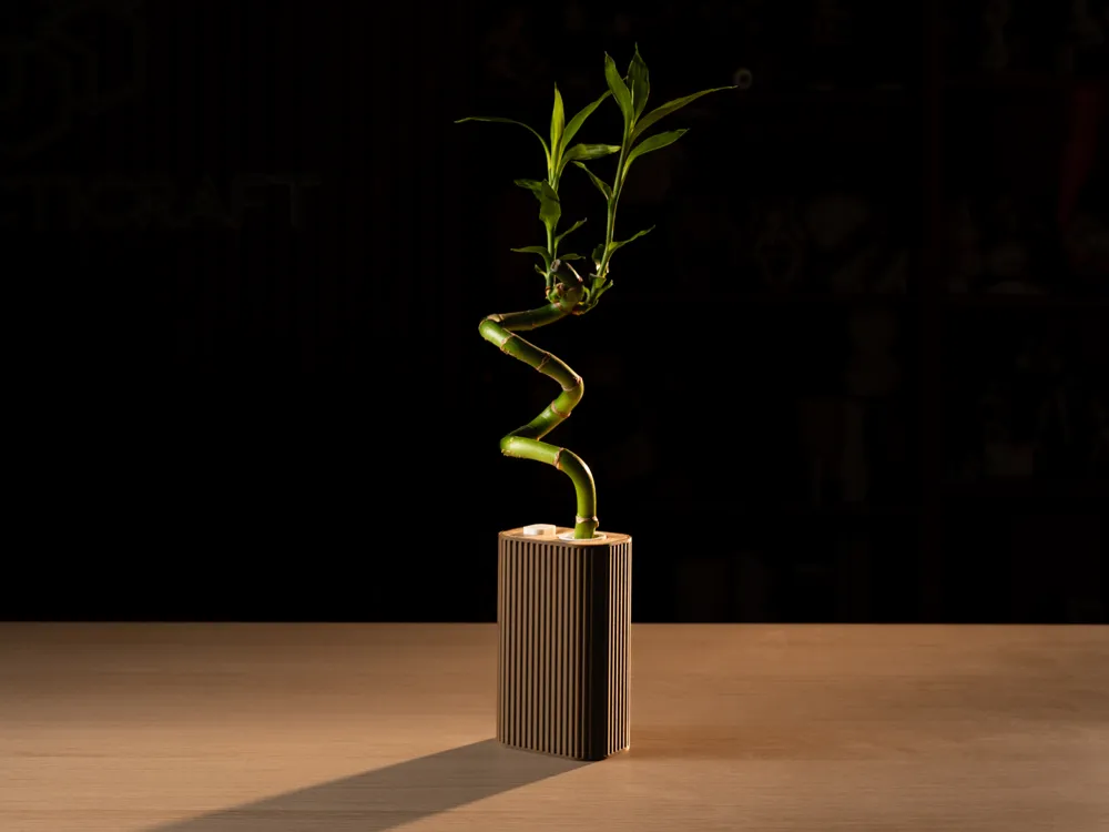 Parametric Bamboo Planter Self-Watering with Float by Collecticraft ...