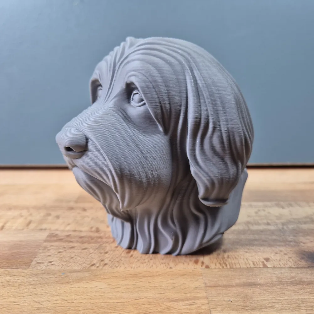 Bearded Collie Bust by Mr.Jay MakerWorld: Download Free 3D Models