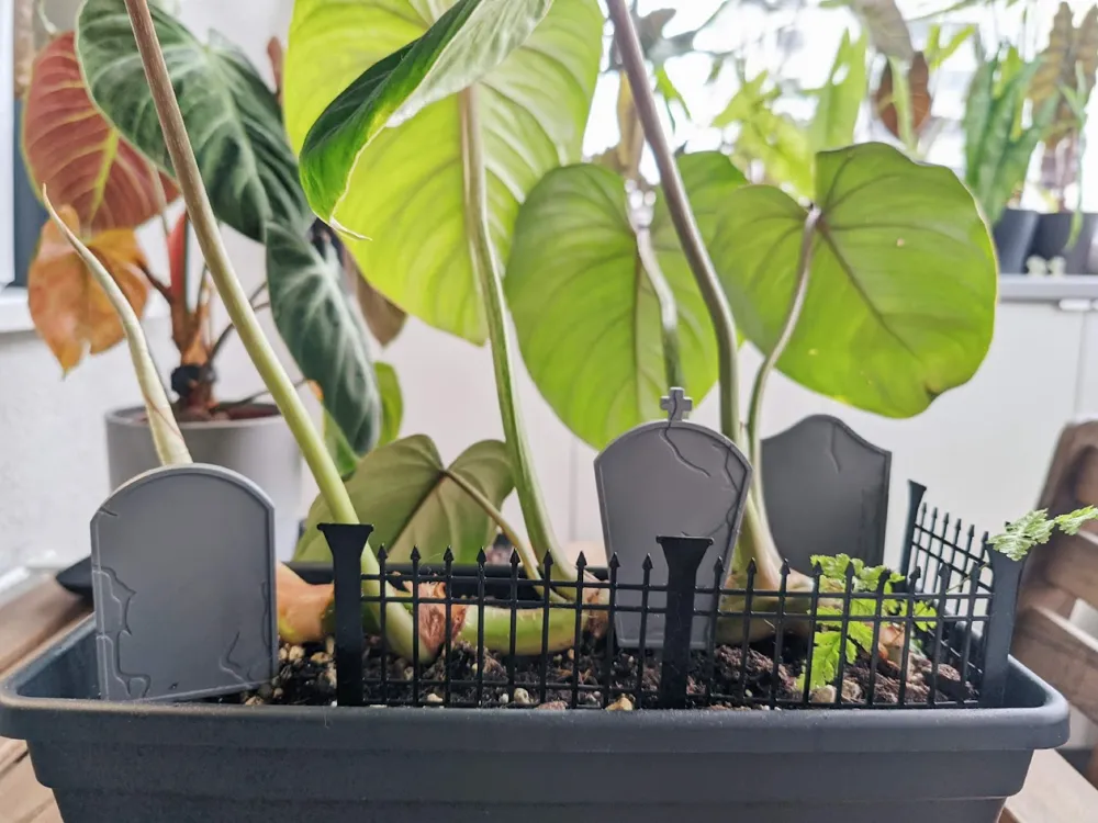 Planter graveyard by shelby-eleanor - MakerWorld