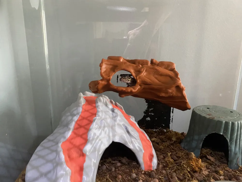 Magnetic Reptile Ledge - Hollow Log - Free 3D Print Model - MakerWorld