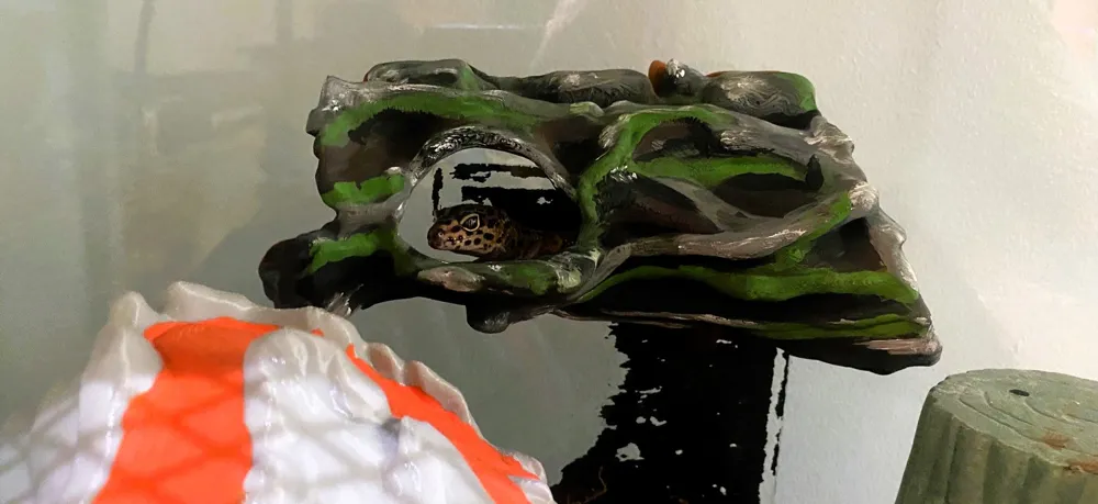 Magnetic Reptile Ledge - Hollow Log - Free 3D Print Model - MakerWorld