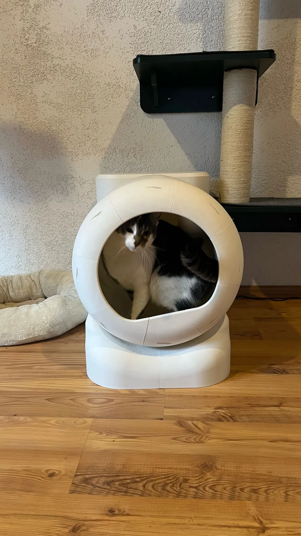 SmartCat Toilet by Dominik MakerWorld: Download Free 3D Models