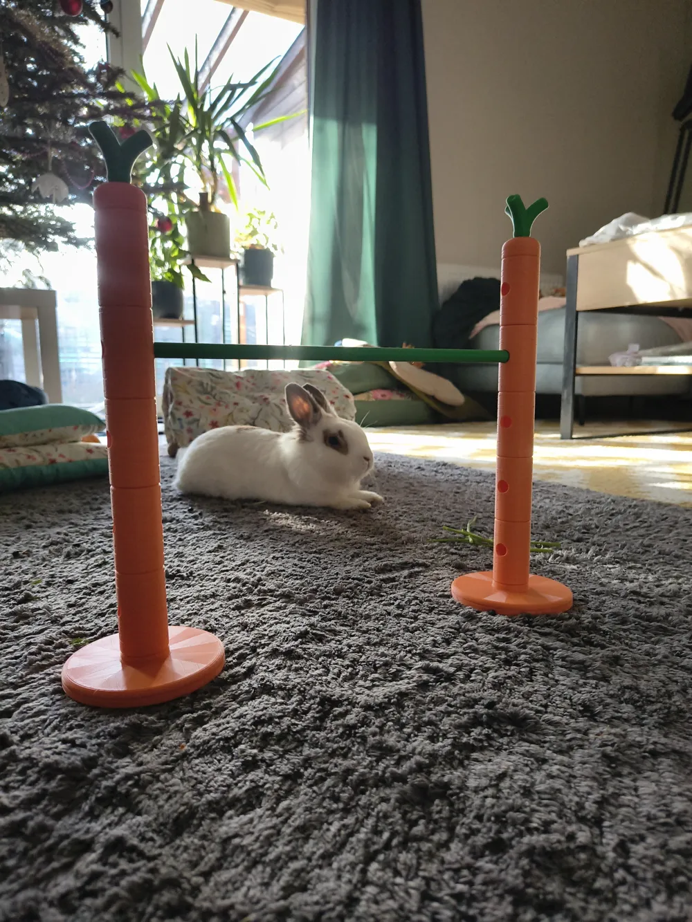 Rabbit modular carrot agility set - jump bar - Free 3D Print Model ...