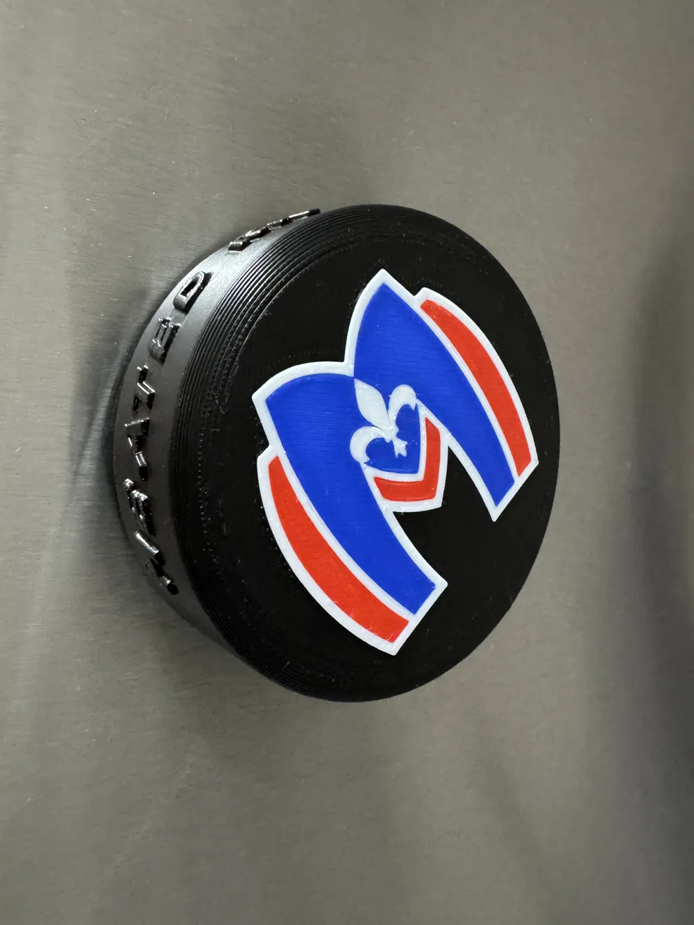Heated Rivalry Puck Magnets - Team Logo - Free 3D Print Model - MakerWorld