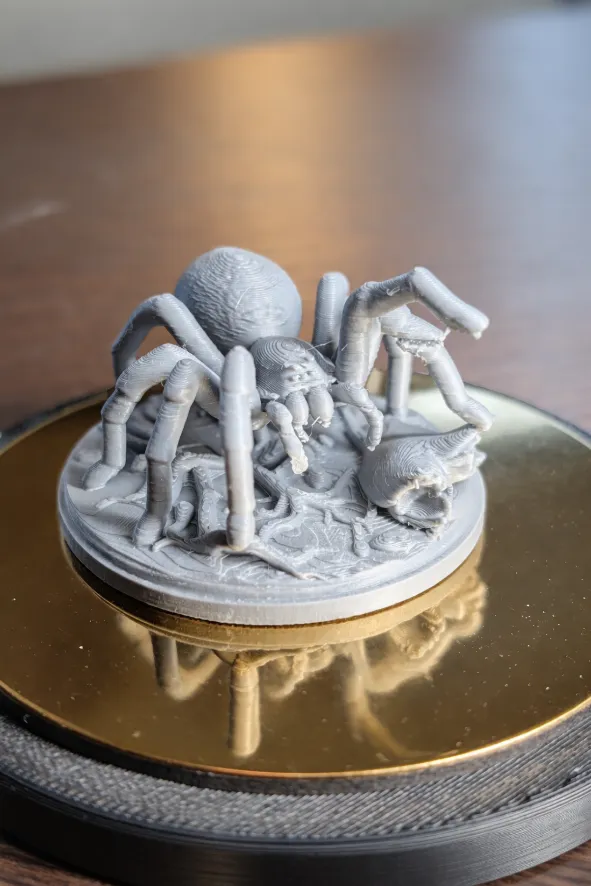 Giant Spider - DnD Miniature (50mm) - Free 3D Print Model - MakerWorld