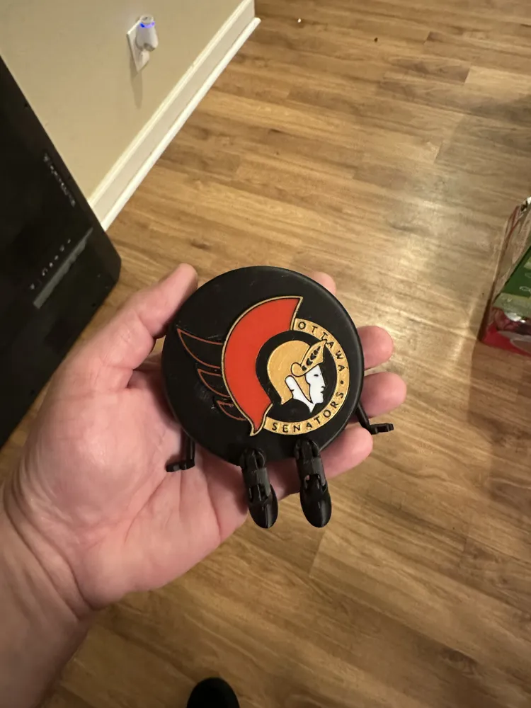 NHL Hockey Puck Buddy - Custom/Personnal Team Logo by Hockey Dad ...