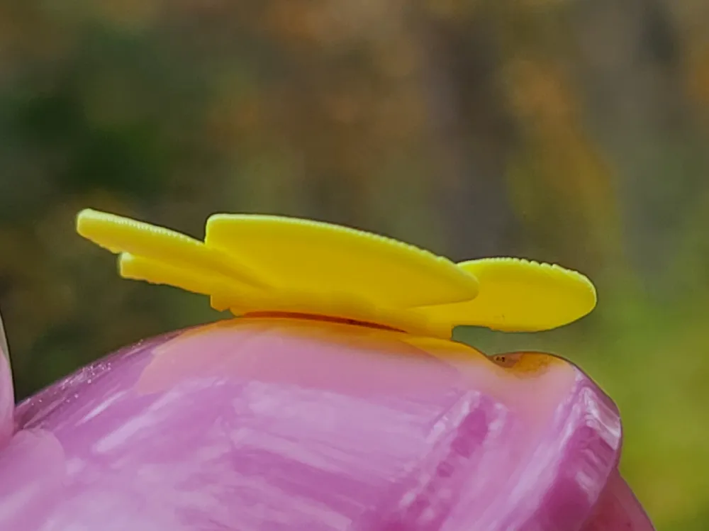 Hummingbird feeder flower - Free 3D Print Model - MakerWorld