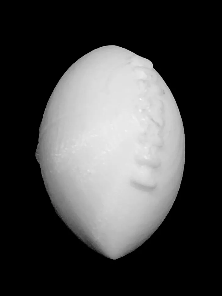 Football for Dummy 13 - Free 3D Print Model - MakerWorld