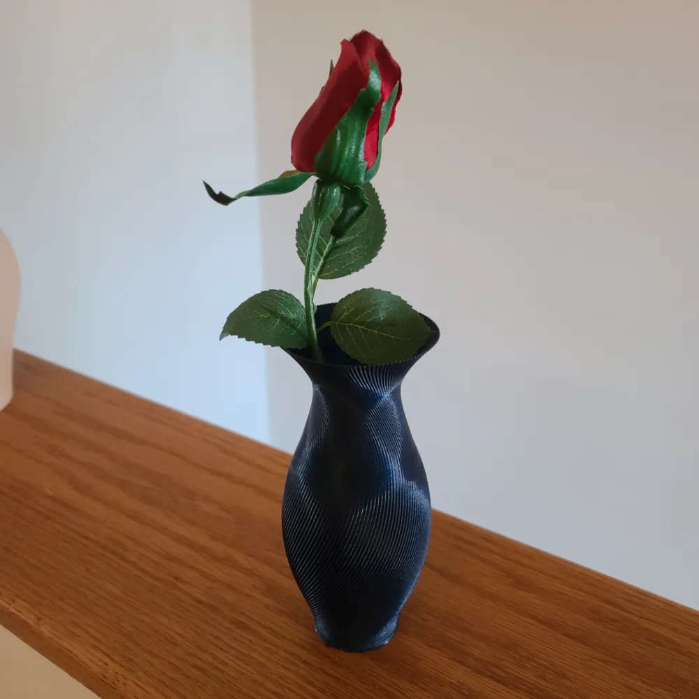 Vibration Vase - Stunning Modern Vase (Vase Mode or Traditional Print ...