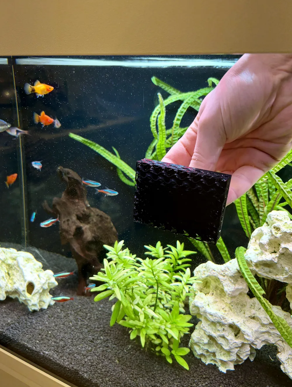 Fish Aquarium Cleaning Sponge made of TPU 95 - Free 3D Print Model ...