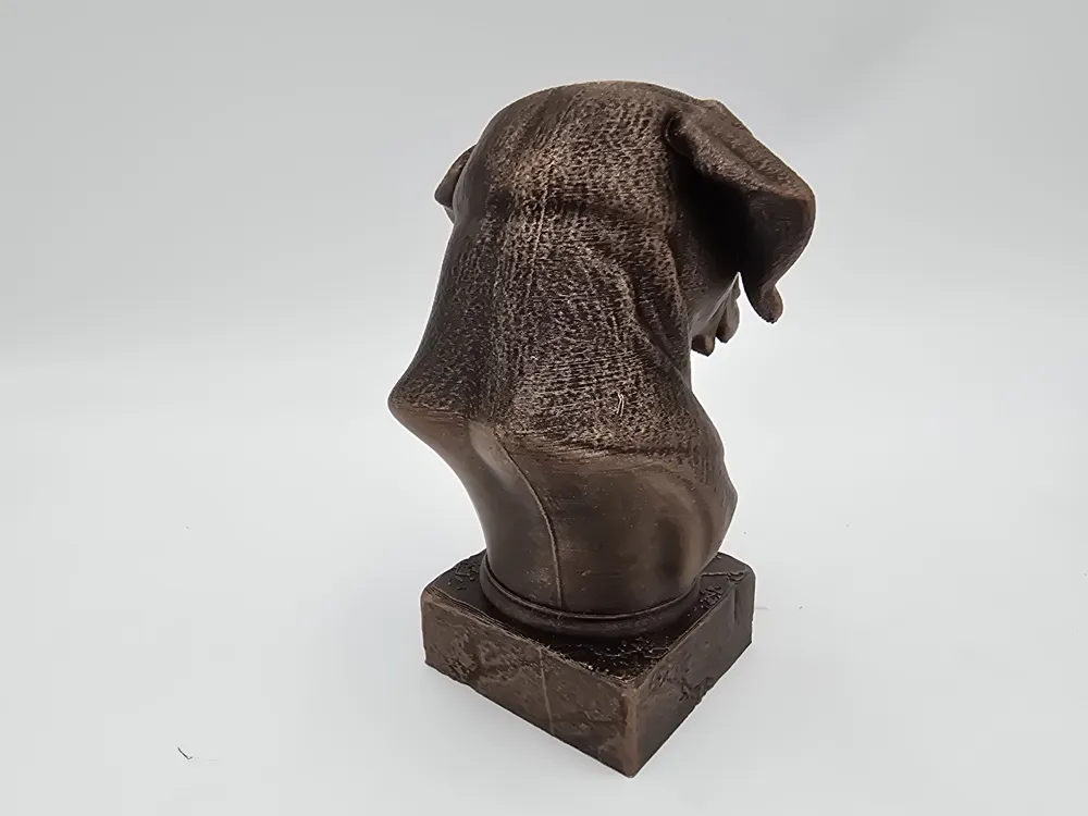 CANE CORSO V2 BUST by Messy_Panda MakerWorld: Download Free 3D Models