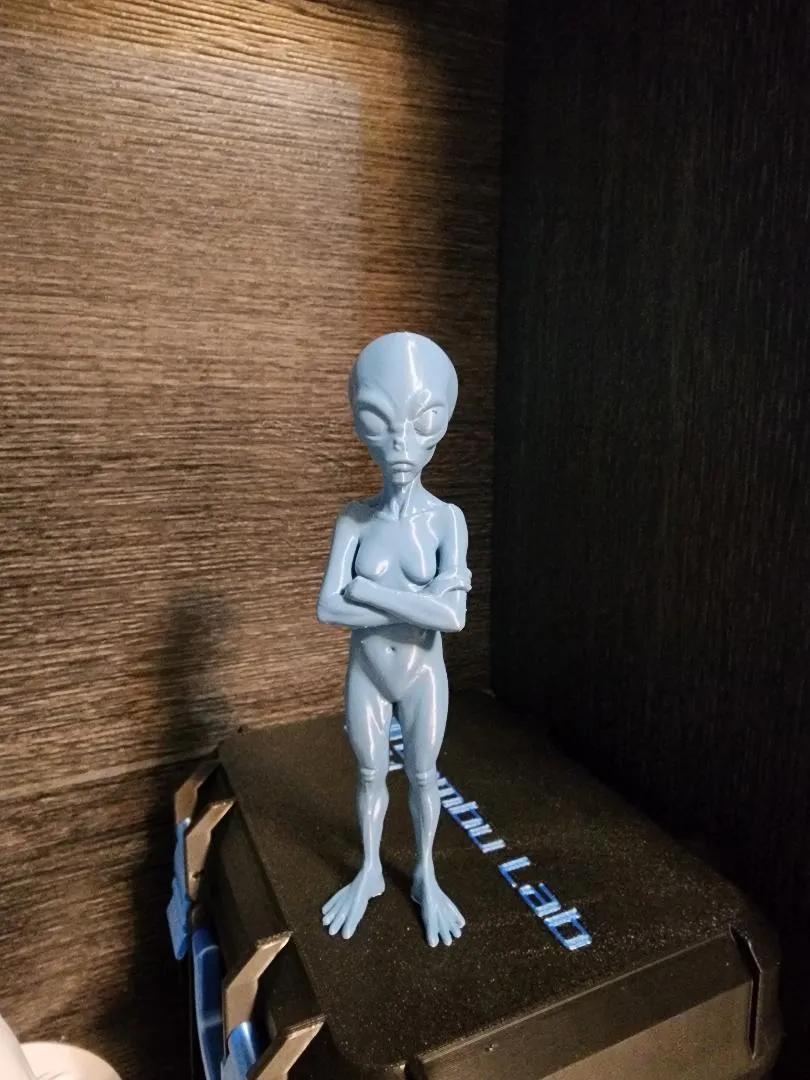 Mad Alien Wife XL (2 sizes/ 3 feet and 6 inch) by Lane0214 MakerWorld: Download Free 3D Models