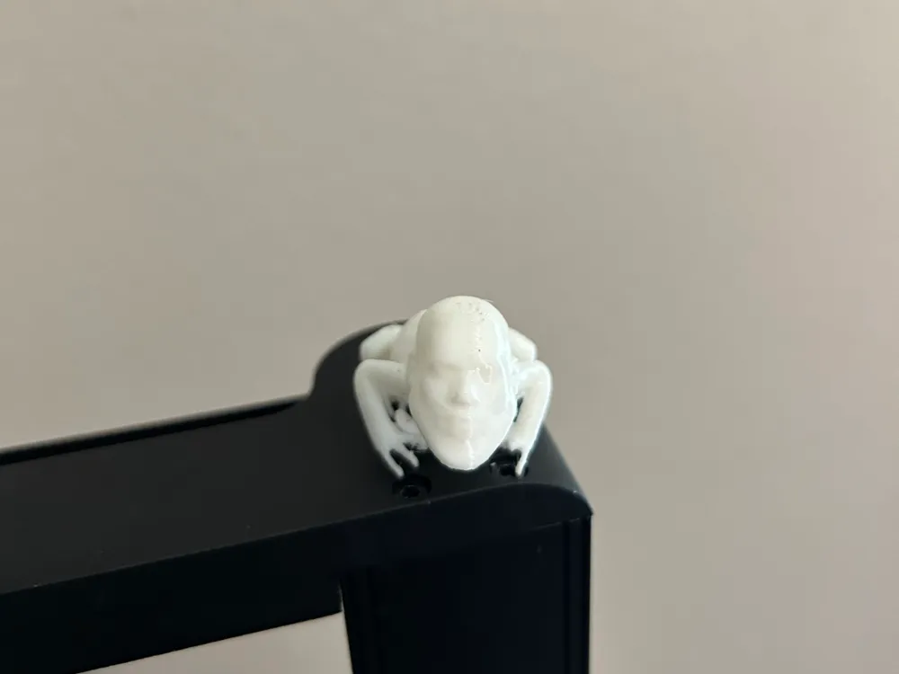 LeBron - Lebron "The King Frog" James Remixed by Mason3DPrints ...