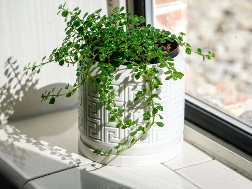 Aztec Pattern Debossed Planter Pot, with Drainage Holes, Drip Tray ...