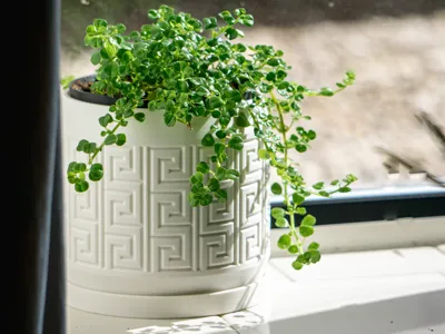 Aztec Pattern Debossed Planter Pot, with Drainage Holes, Drip Tray by ...