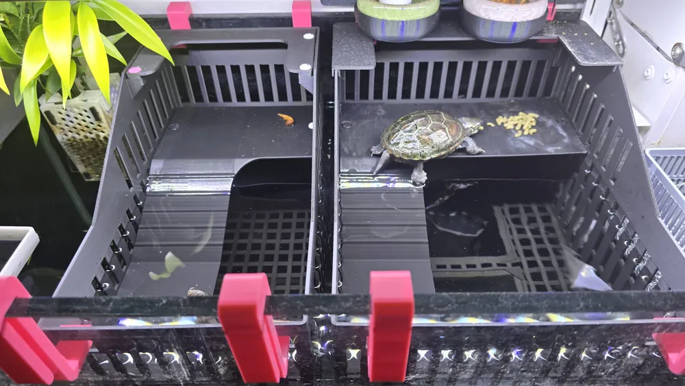 Escape-proof Turtle Aquaterrarium Isolation Box - Free 3D Print Model ...
