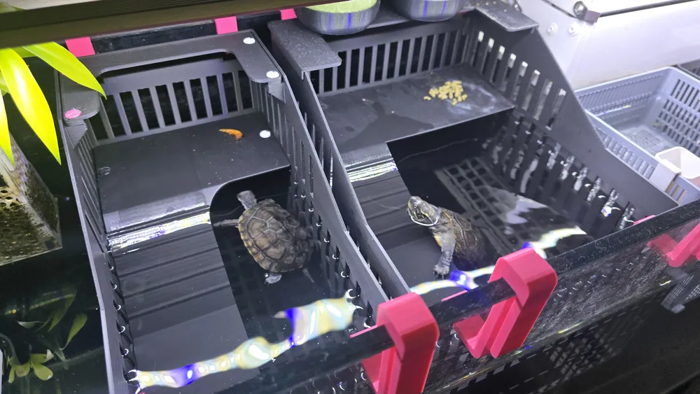 Escape-proof Turtle Aquaterrarium Isolation Box - Free 3D Print Model ...