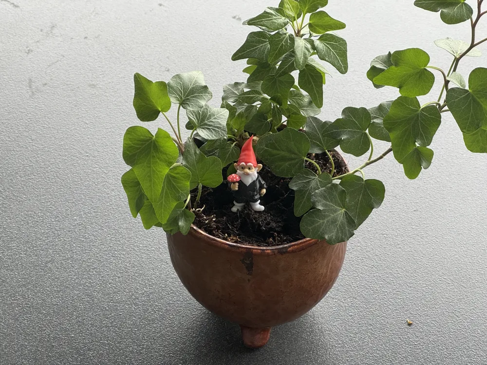 Mini Garden Gnome for Planters by pops MakerWorld: Download Free 3D Models