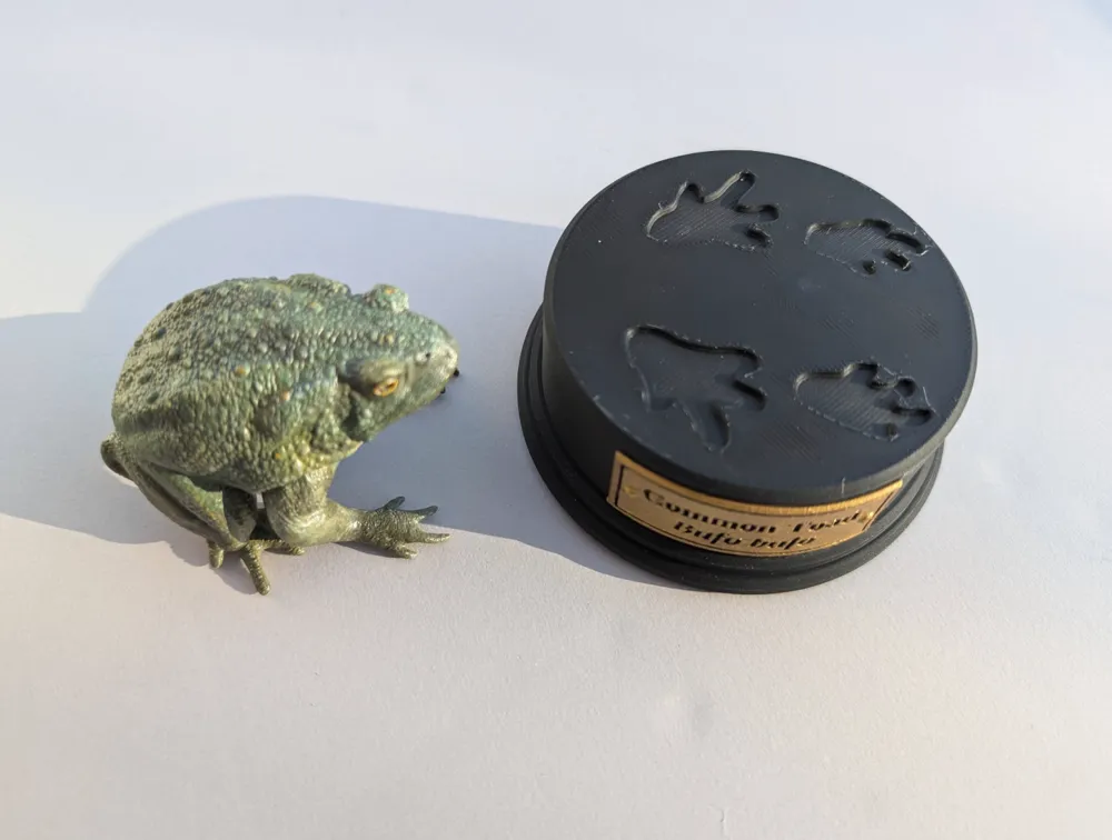 Realistic toad and display plinth Remixed by N33 Designs MakerWorld ...