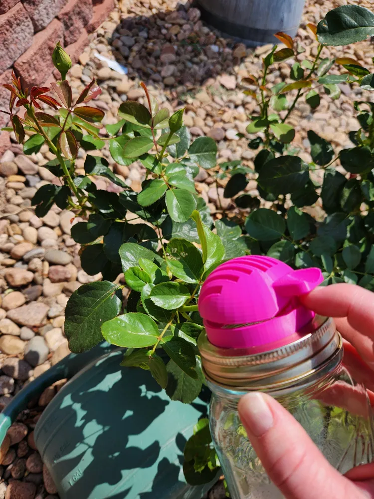 Japanese Beetle Catcher–Chemical-Free Pest Control by sayKaren ...